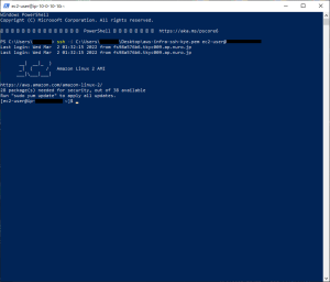 Windows10からPowerShellでssh接続が可能となった | DailyHackOn デイリーハックオン